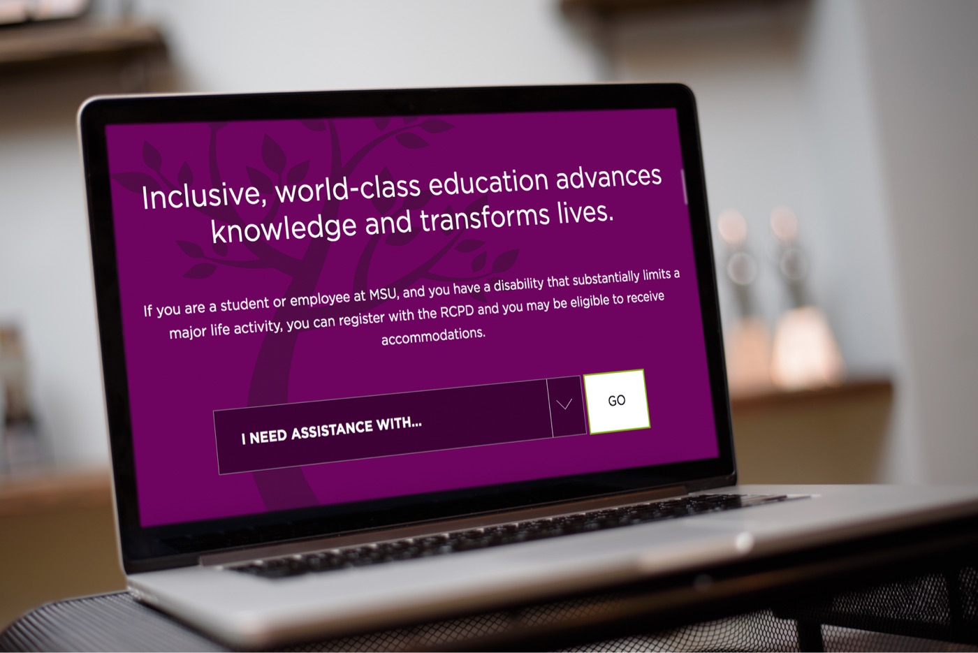 MSU Resource Center for Persons with Disabilities | Gravity Works | Web ...